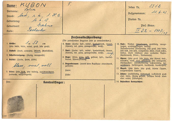 Erkennungsdienstliche Kartei Gestapo Wien Foto: Wiener Stadt- und ...